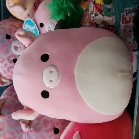 Squishmallows | Toys | Nwt Squishmallows Peter Pig Nwt Pink | Poshmark
